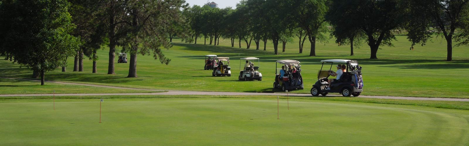 golf-carts » Albion Country Club